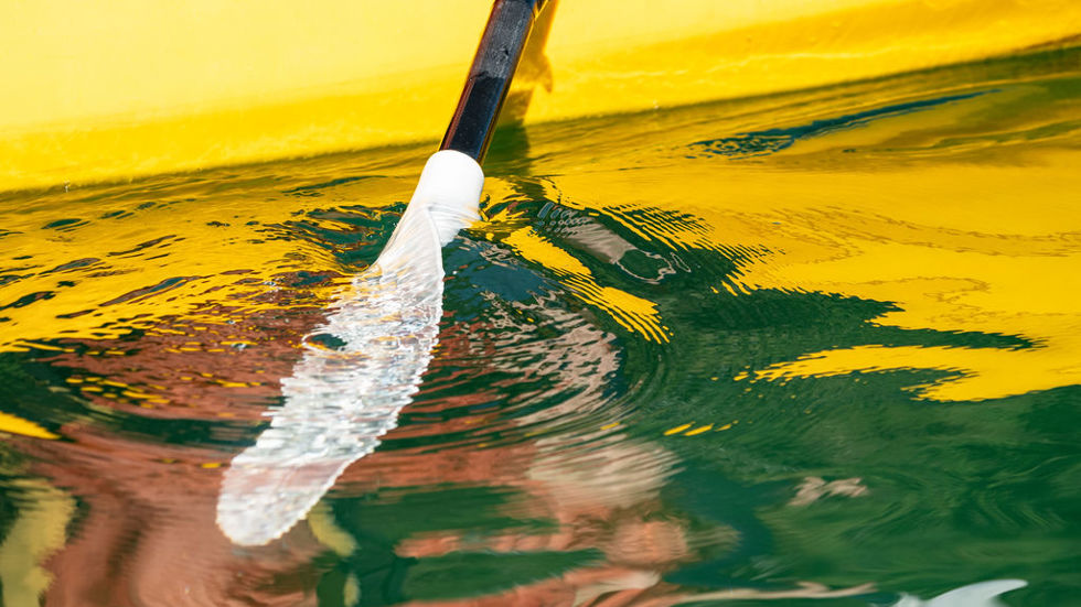 Wilderness Guides - 30% Guided Kayak Trips, 20% off 1 Day e-Bike Hire | Wilderness Guides