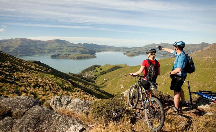 Mountain Bike Rental | Wilderness Guides